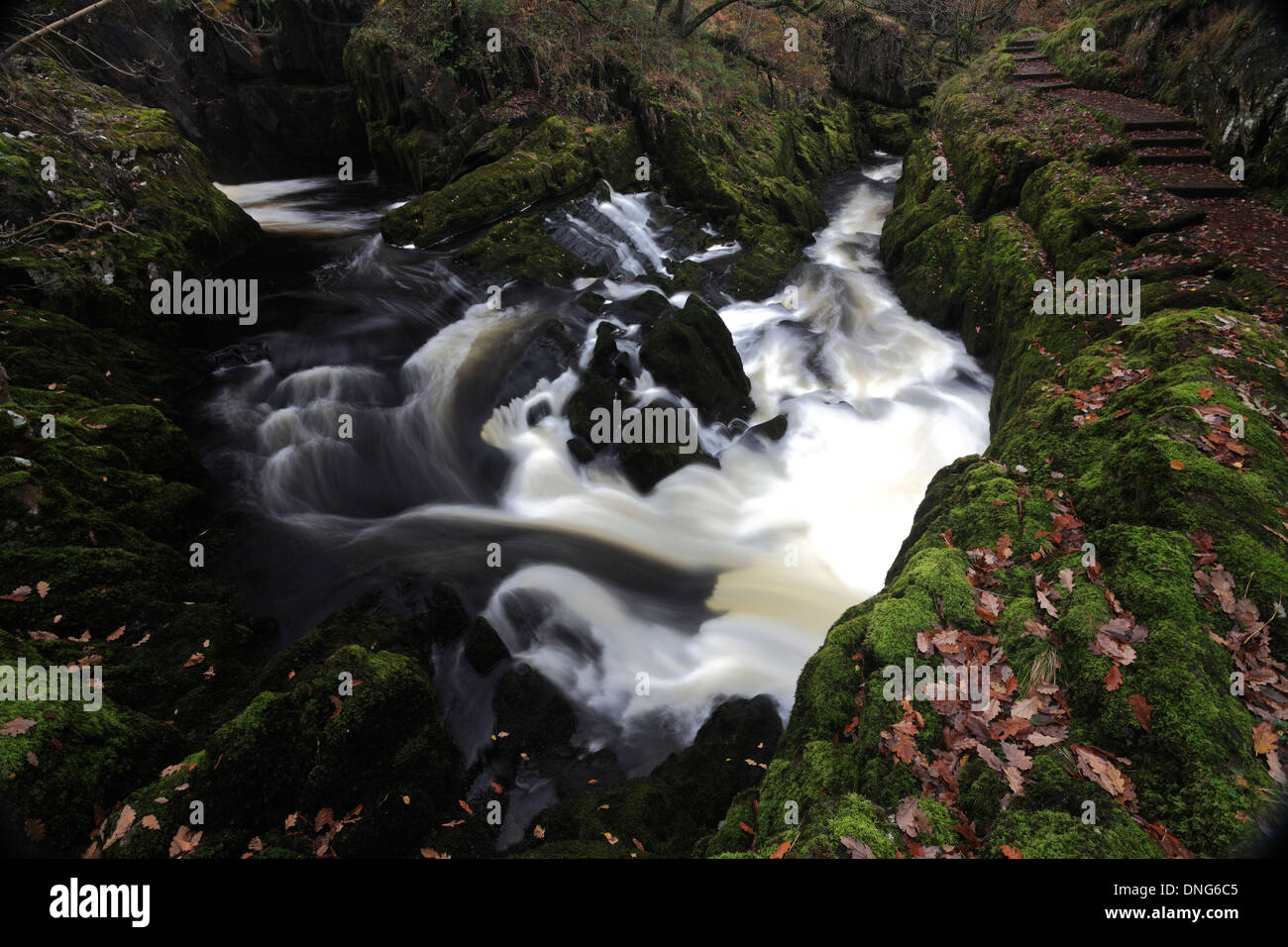 Rival Falls, river Doe, Ingleton Waterfalls Trail, Ingleton village ...