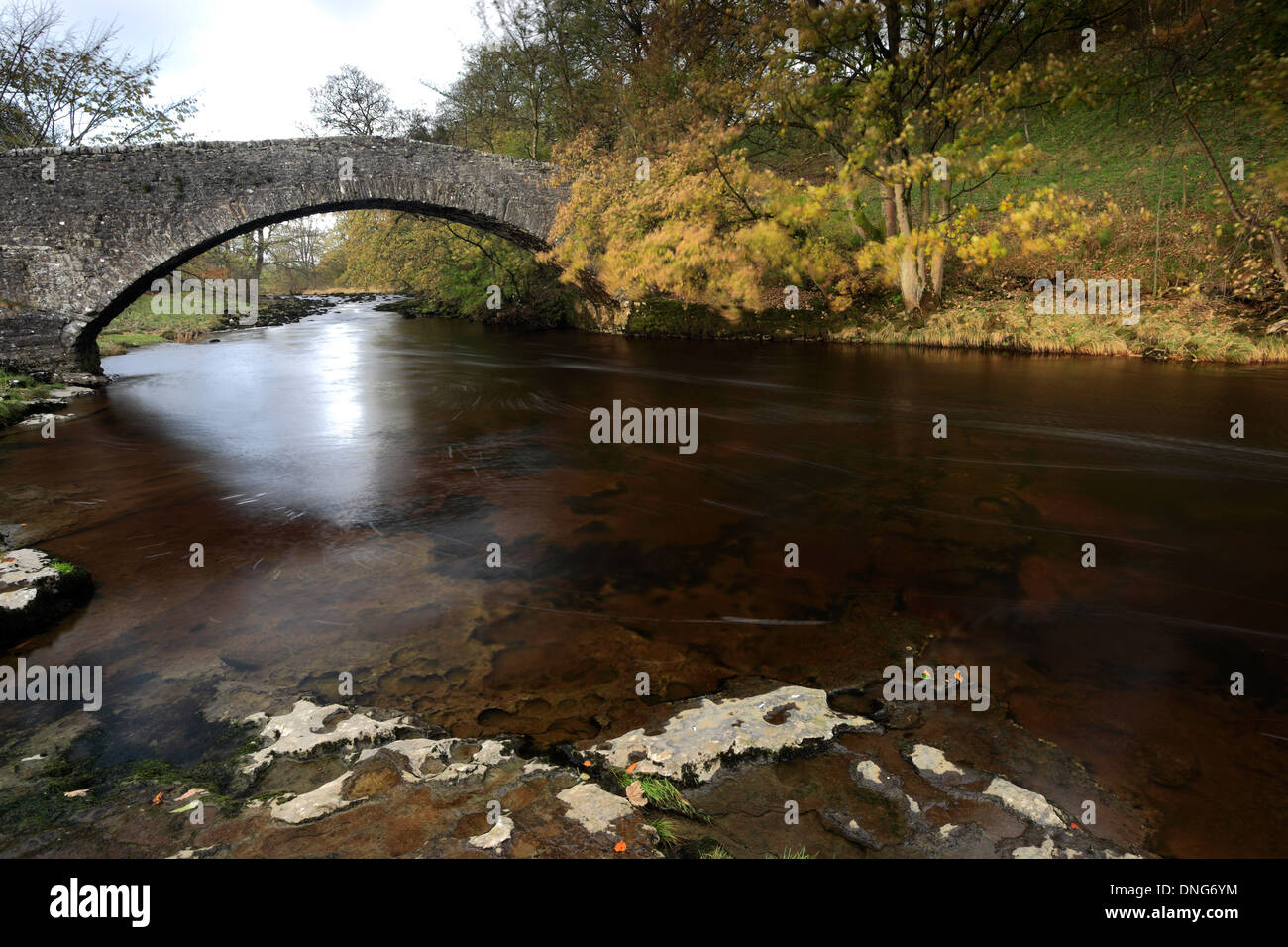Autumn, Stainforth Force waterfalls, River Ribble, Yorkshire Dales ...