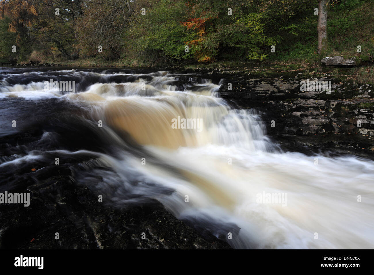 Autumn, Stainforth Force waterfalls, River Ribble, Yorkshire Dales ...