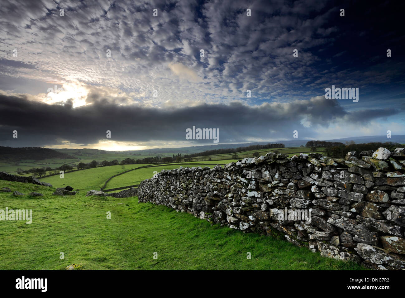 Norber Dale near the village of Austwick, Yorkshire Dales National Park ...
