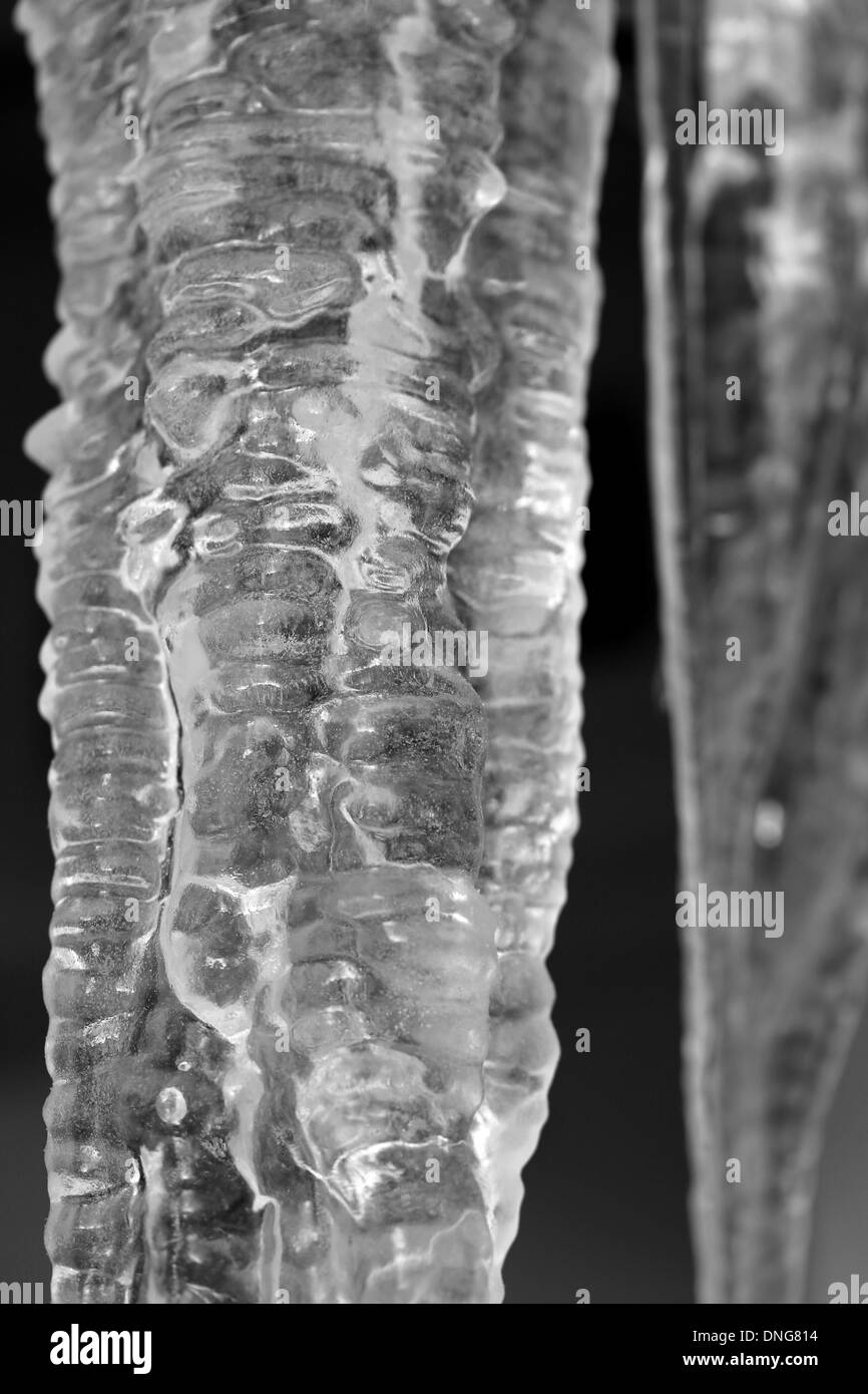 Icicle Black and White Stock Photos & Images - Alamy