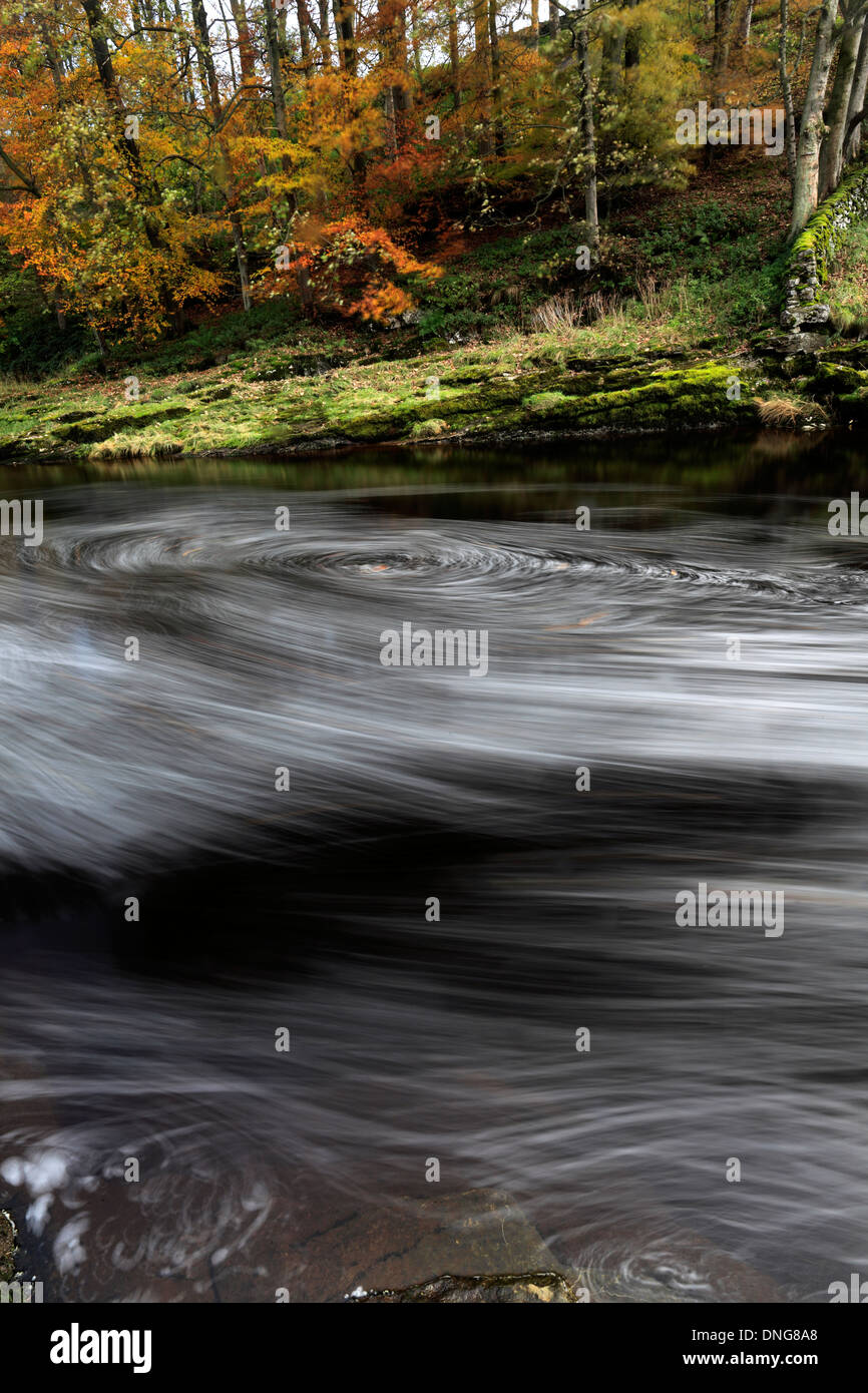 Autumn, River Ribble, Yorkshire Dales National Park, England, UK Stock ...
