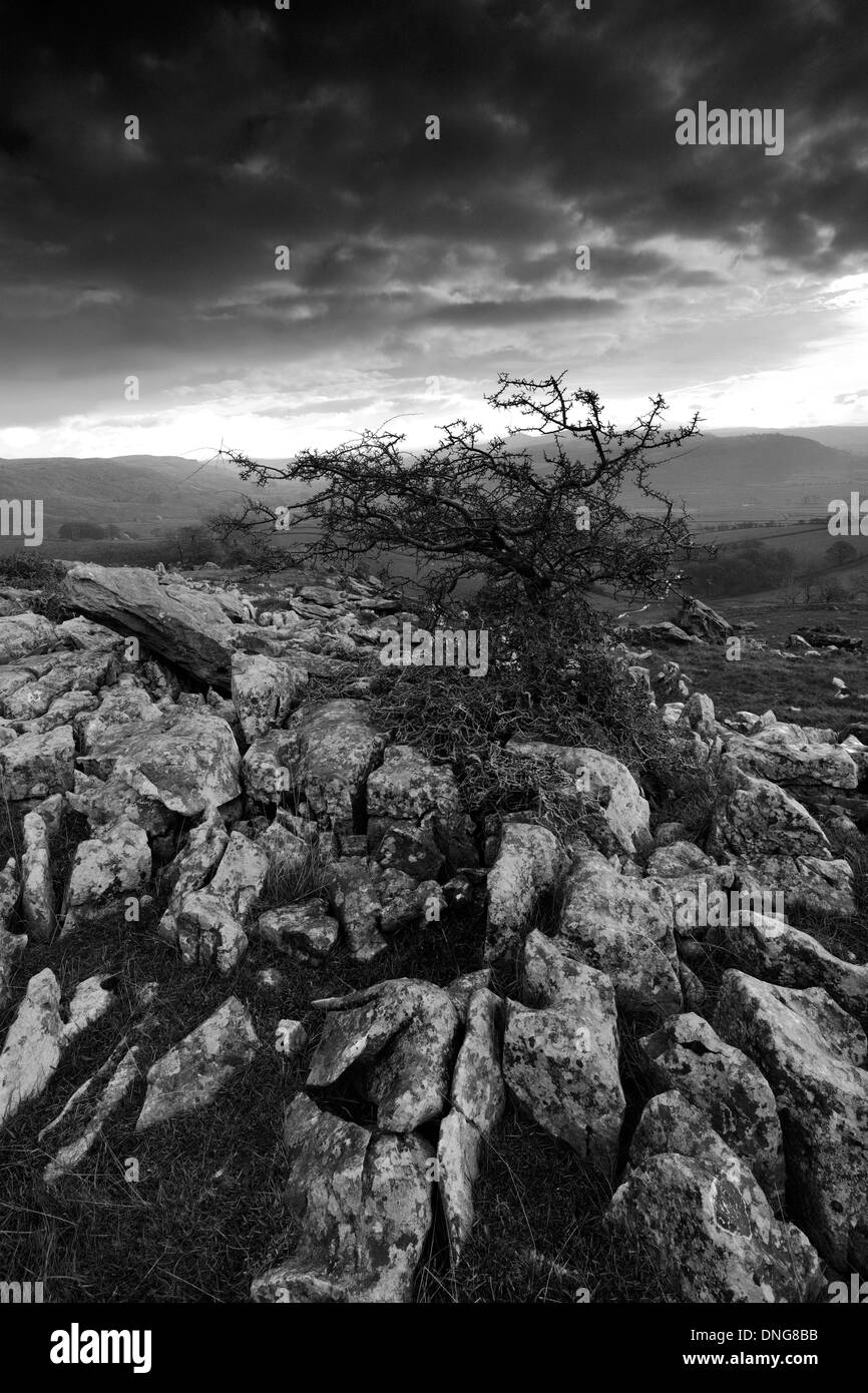 Austwick village Black and White Stock Photos & Images - Alamy