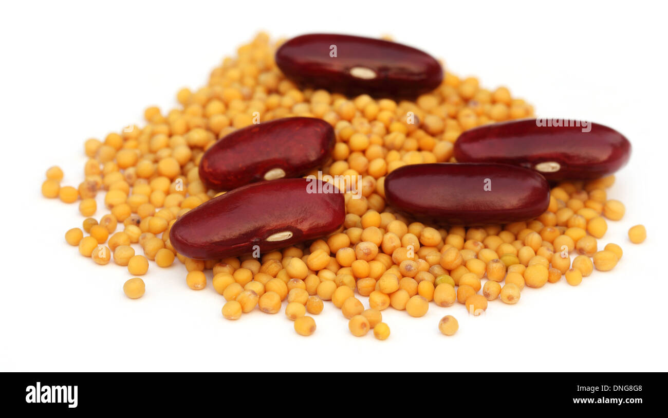 Rajma dal- kind of Indian edible pulses with mustard Stock Photo - Alamy