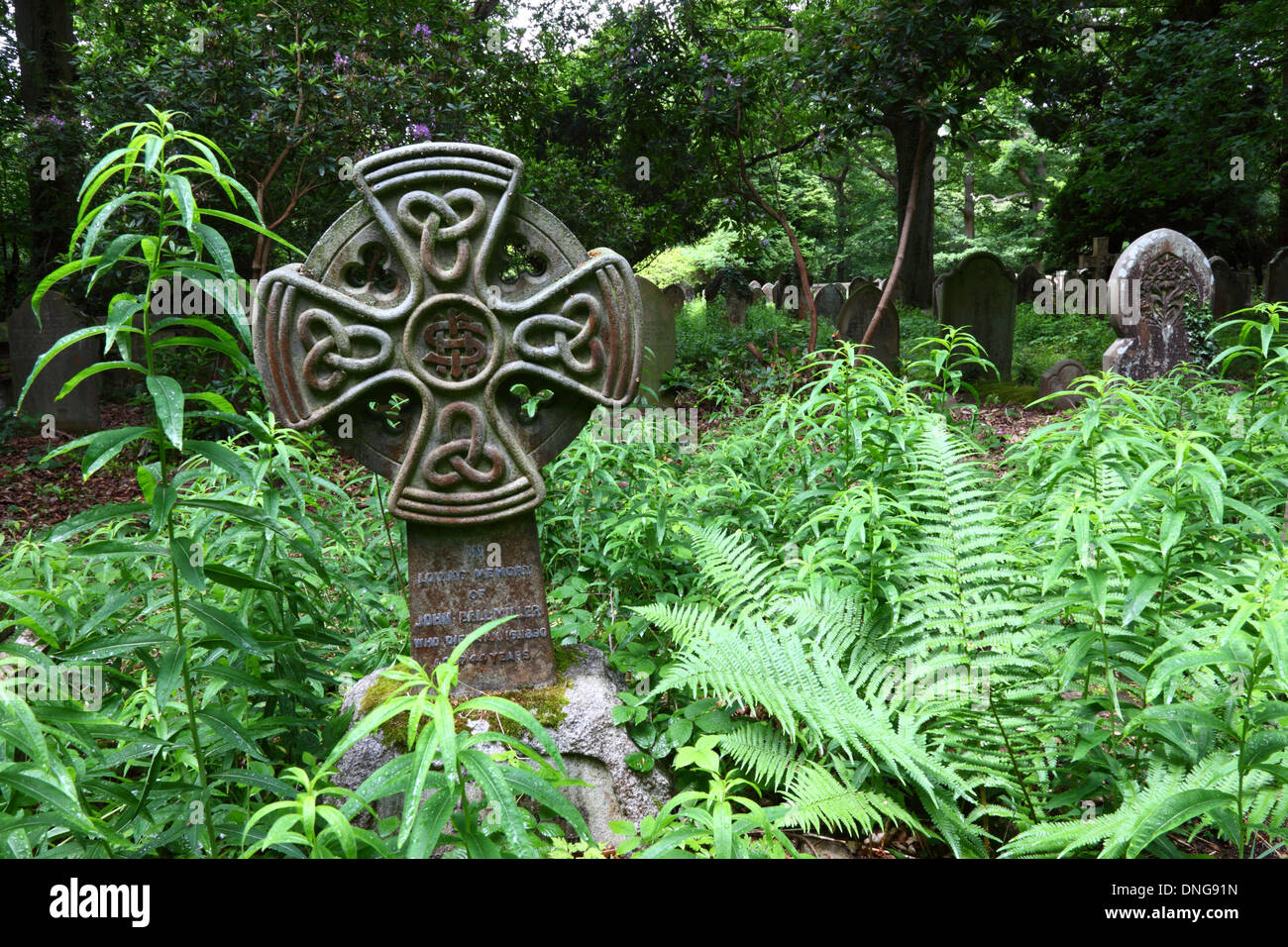 Celtic motif hi-res stock photography and images - Alamy