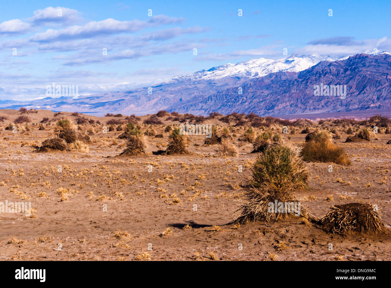 The Devil's Haystacks near Stovepipe Wells, Death Valley National Park ...