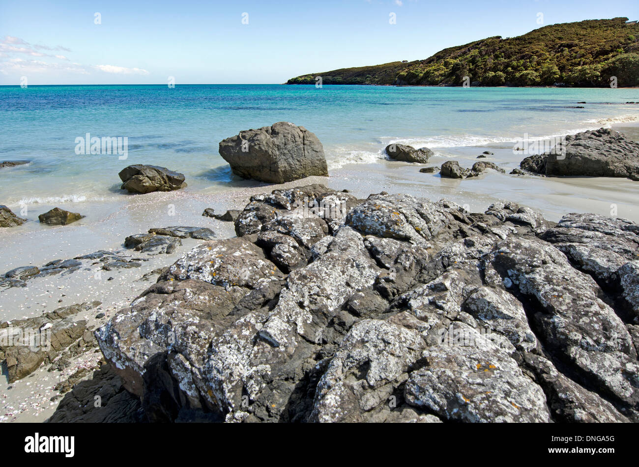 Rangiputa High Resolution Stock Photography and Images - Alamy