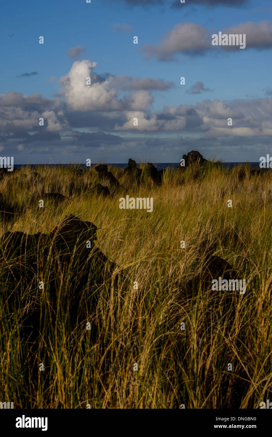 Golden horizon hi-res stock photography and images - Alamy