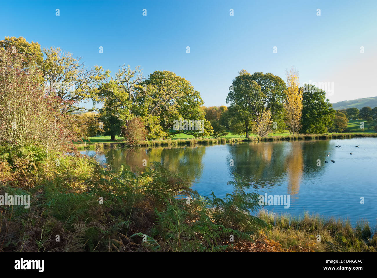 Wales Pond surrounded the trees and meadows Stock Photo - Alamy
