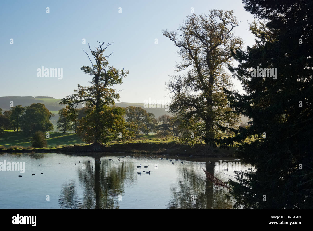 Wales Pond surrounded the trees and meadows Stock Photo - Alamy