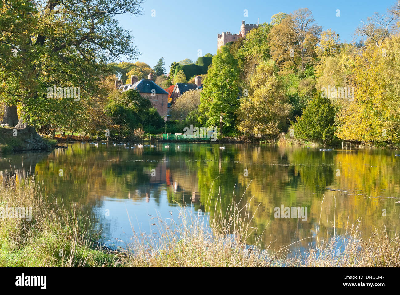 Castle surrounded by trees hi-res stock photography and images - Alamy