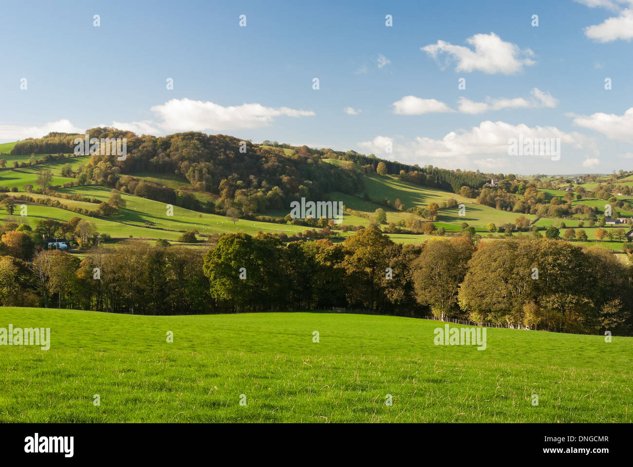 Grassland in wales hi-res stock photography and images - Alamy