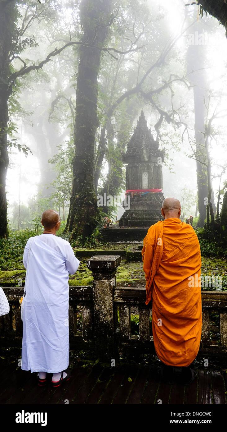 Monks praying in old temple ruins in a rain forest in northern Thailand ...