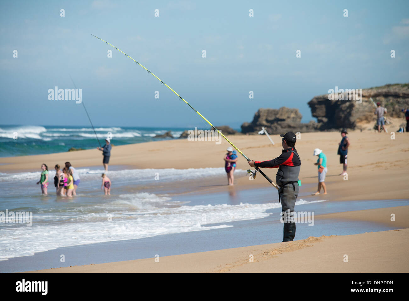 Coastal beach fish hi-res stock photography and images - Alamy