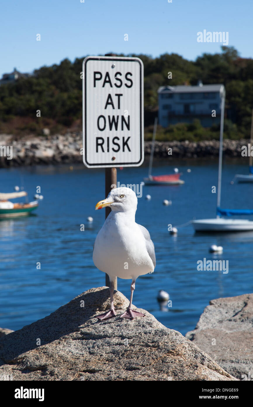 Seagull warning sign hi-res stock photography and images - Alamy