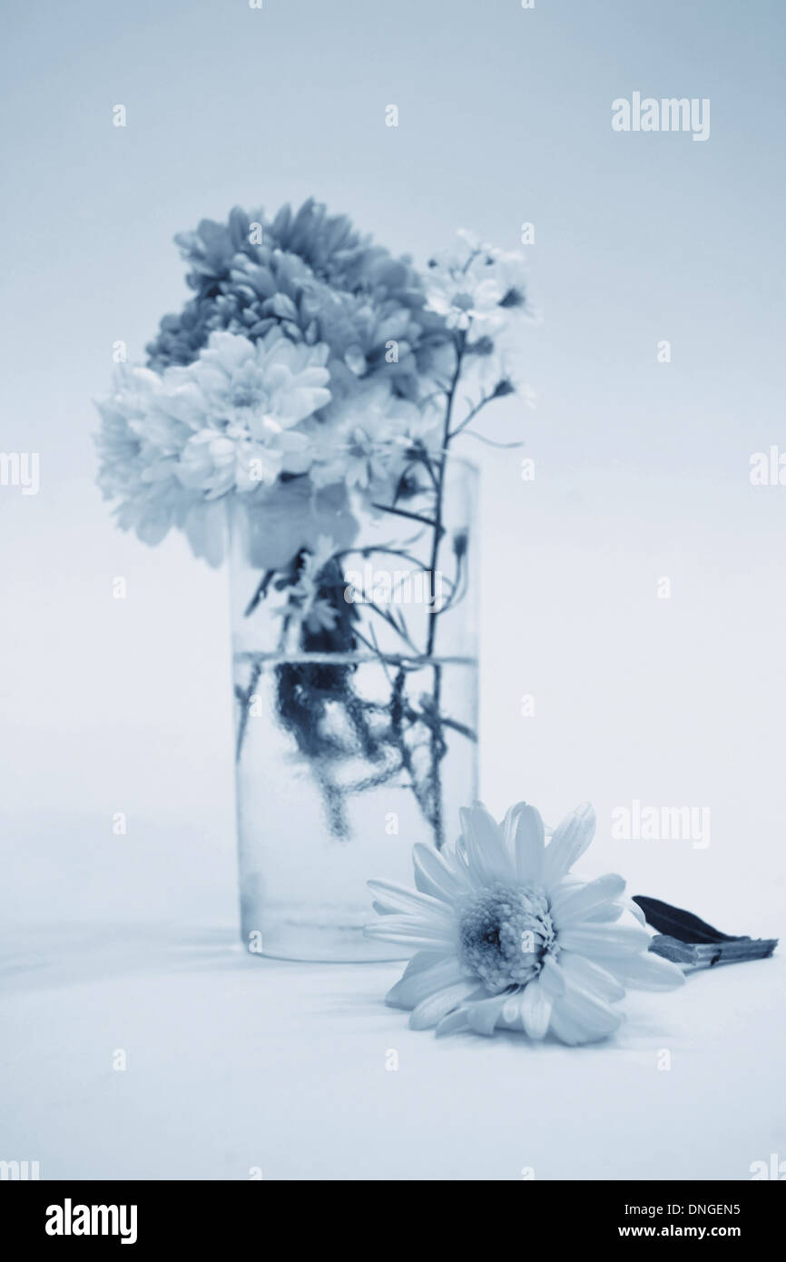 Monotone hi-res stock photography and images - Alamy