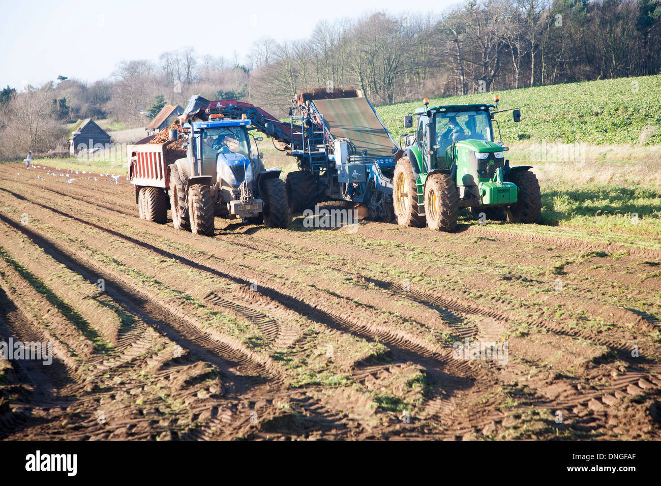 Tractor trailer combination hi-res stock photography and images - Alamy