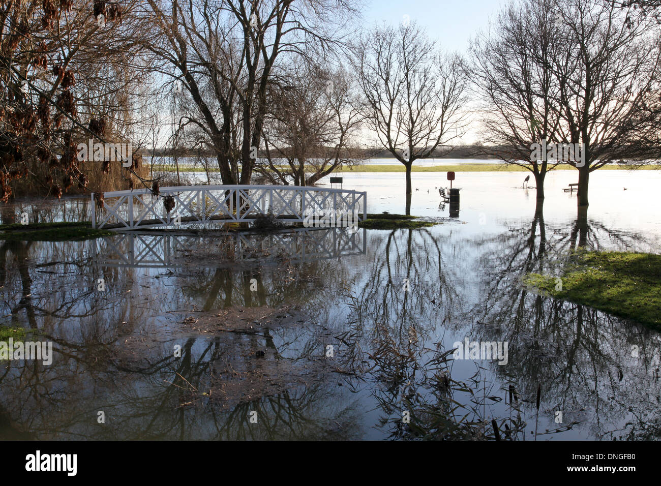Flooding of the River Great Ouse in Huntingdon. After weeks of rain the ...