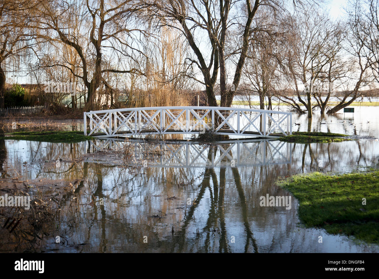 Flooding of the River Great Ouse in Huntingdon. After weeks of rain the ...