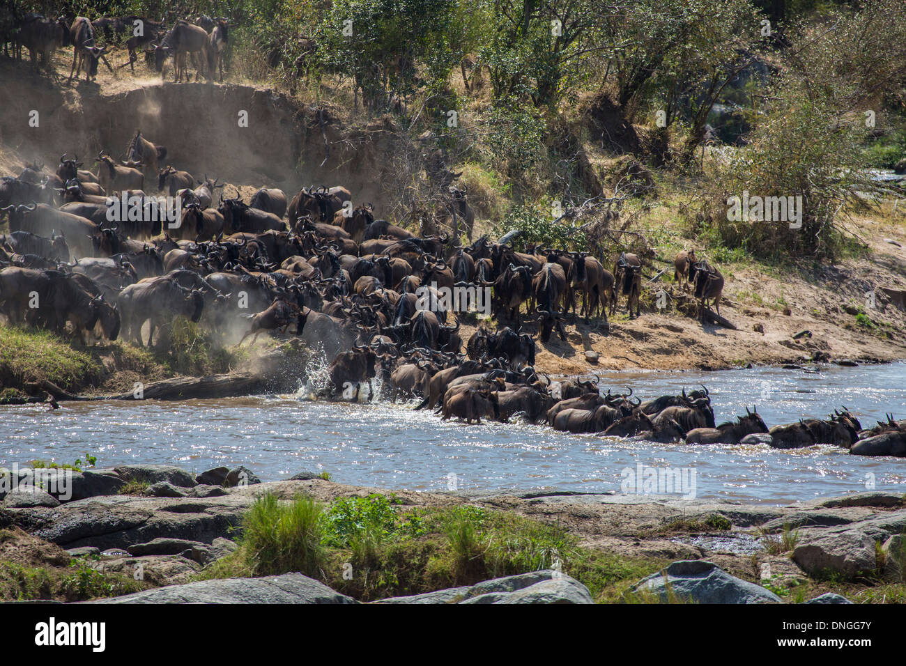 Kenya tanzania serengeti border hi-res stock photography and images - Alamy