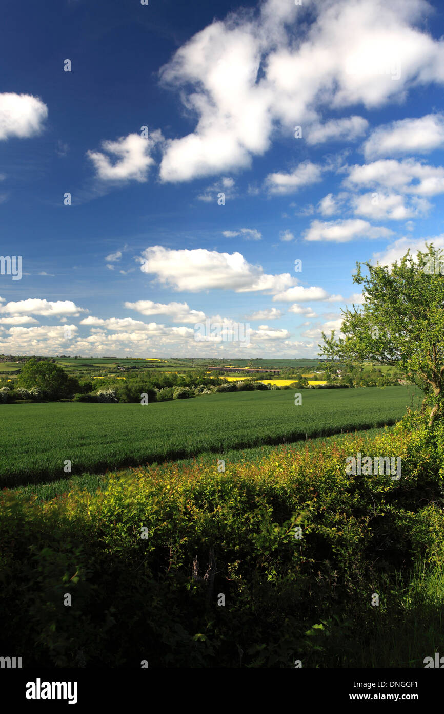 Summer view of the Harringworth Railway Viaduct, river Welland valley ...