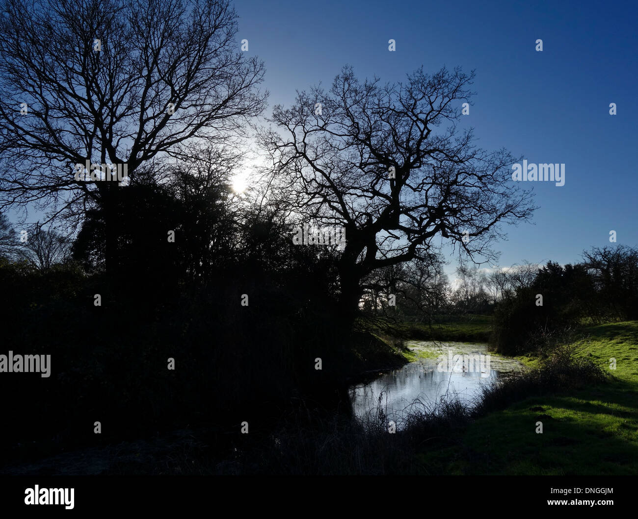 Moat at Mileham Castle Norfolk England UK Stock Photo - Alamy