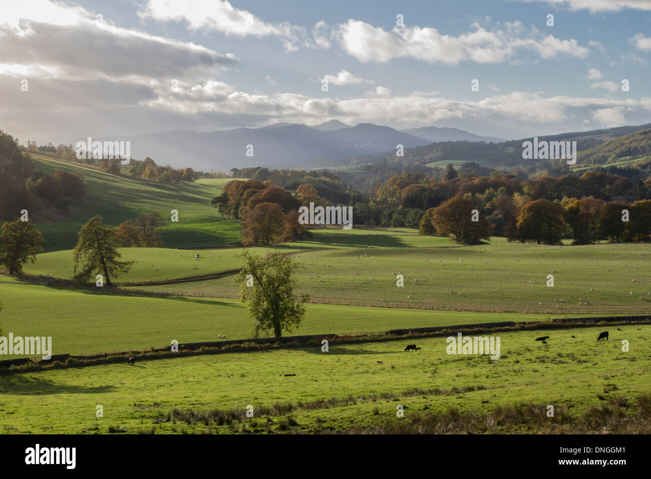 Autumn Landscape Between Kenmore And Aberfeldy, Perthshire, Scotland ...