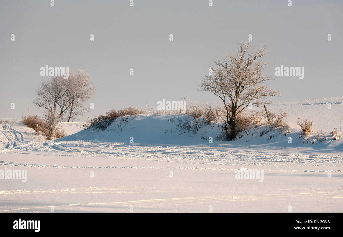 Snow covered field and trees Stock Photo - Alamy