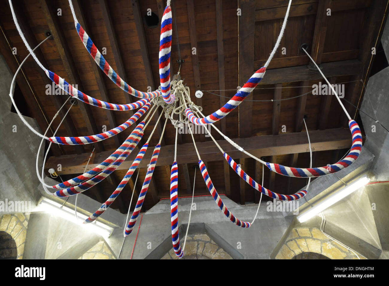 Stripy spider hi-res stock photography and images - Alamy