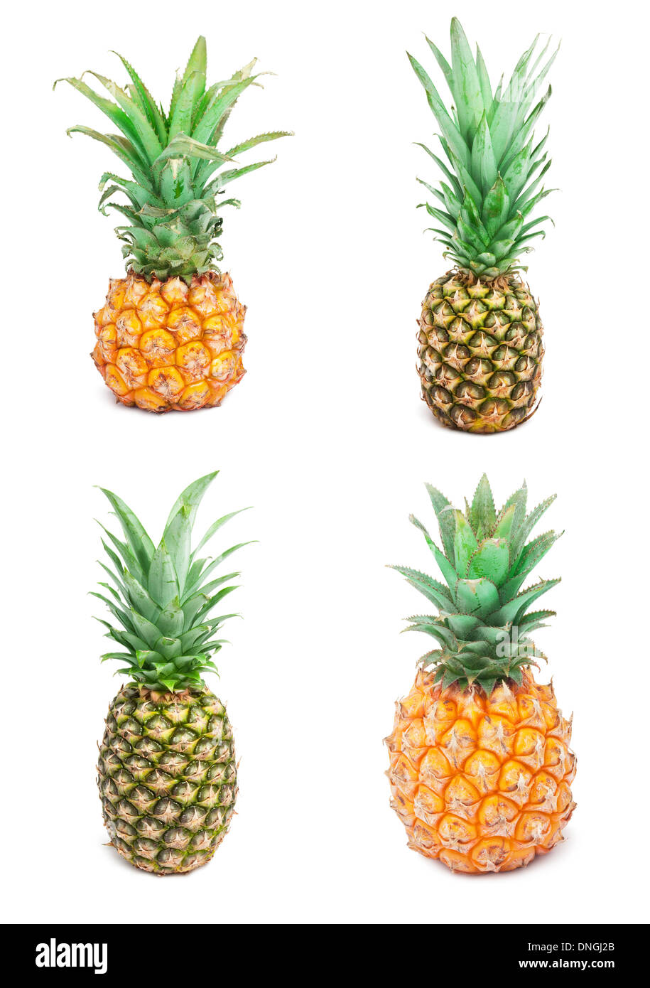 Pineapple collection hi-res stock photography and images - Alamy