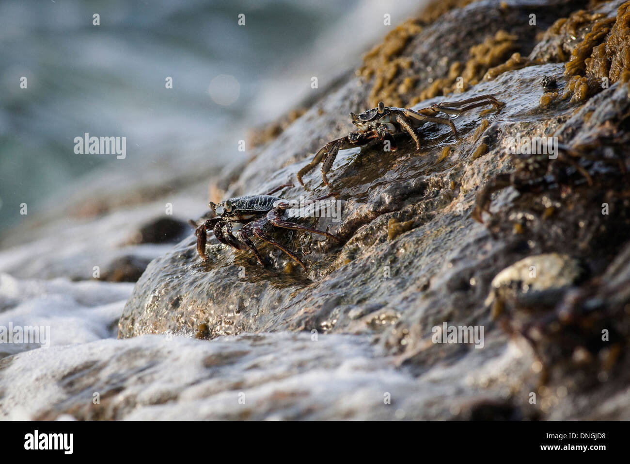 Splashed by a wave hi-res stock photography and images - Alamy