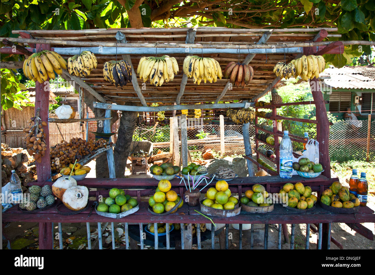 Fruit vendor in Cuba Stock Photo - Alamy