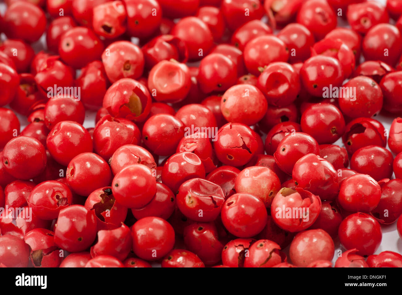Red rose organic pepper Stock Photo - Alamy