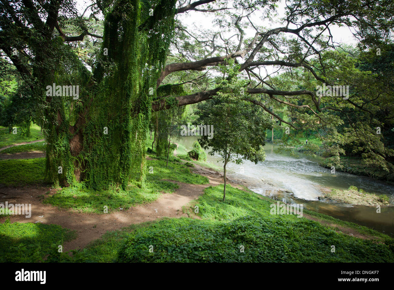 Parque Almedares, La Habana Stock Photo - Alamy