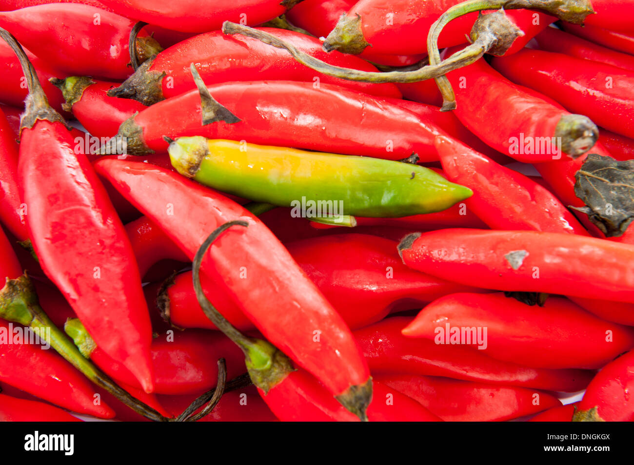 Red chilli seeds hi-res stock photography and images - Alamy