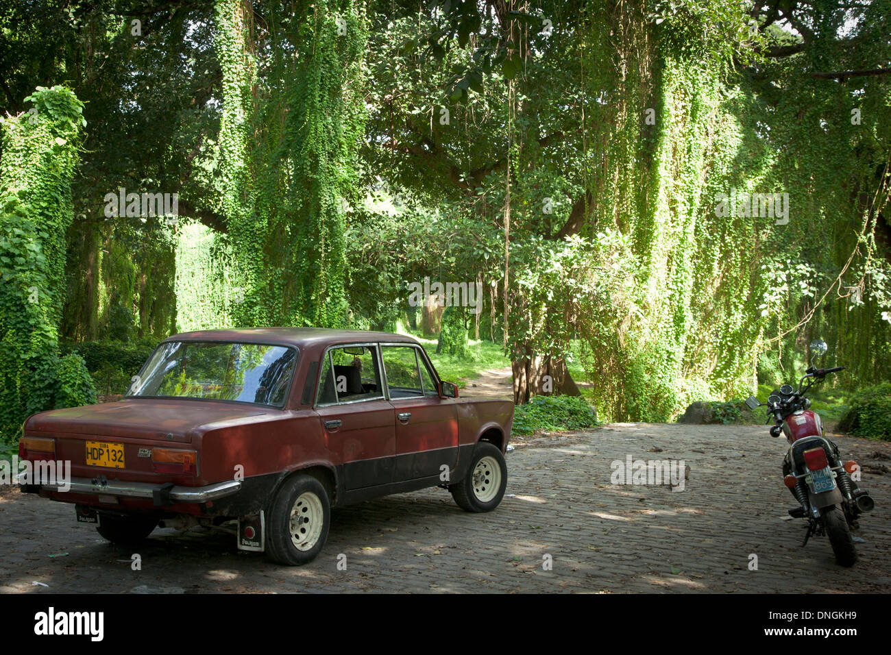 Car in parque almedares hi-res stock photography and images - Alamy