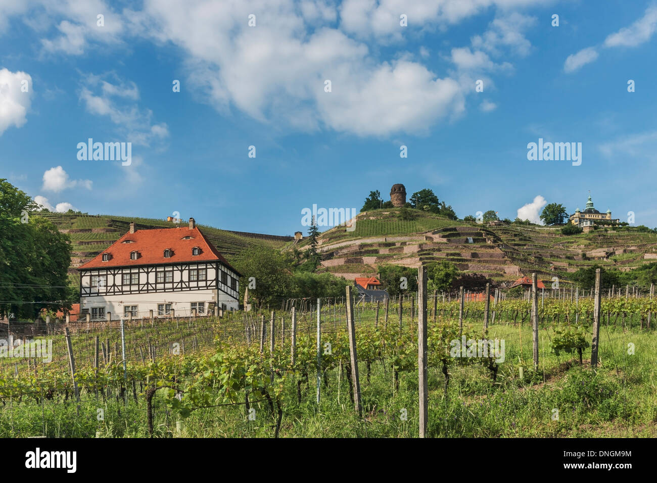 Bismarck tower at the spitzhaus in dresden radebeul hi-res stock ...
