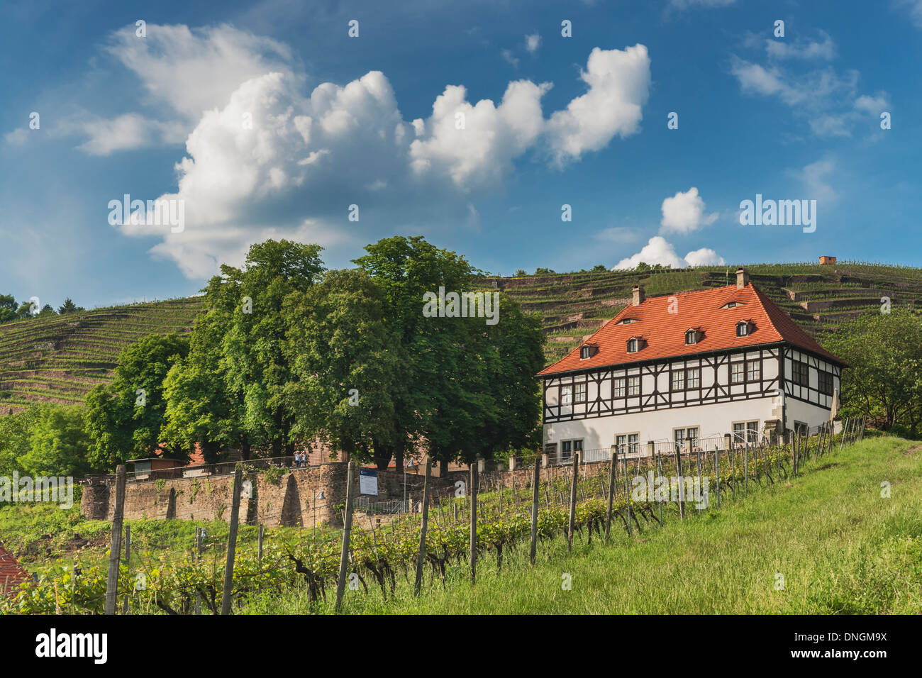 Terrassen symbol hi-res stock photography and images - Alamy