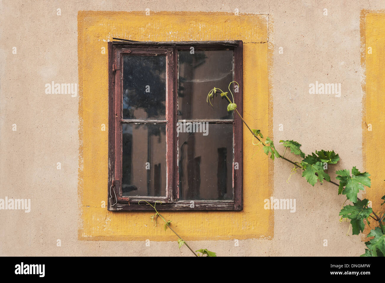 An old House, in front of the window is a vine branch Stock Photo - Alamy