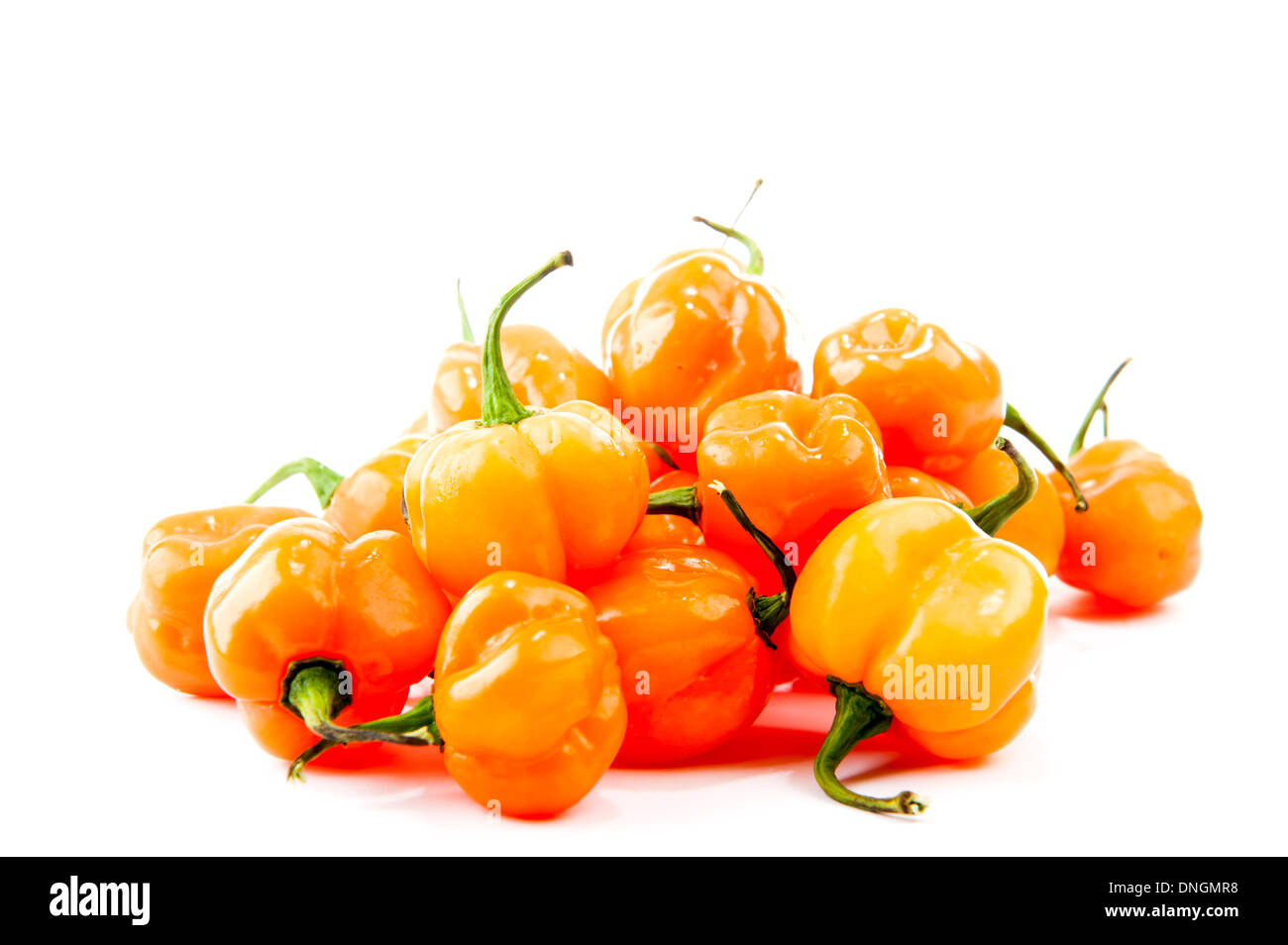Cheiro High Resolution Stock Photography and Images - Alamy
