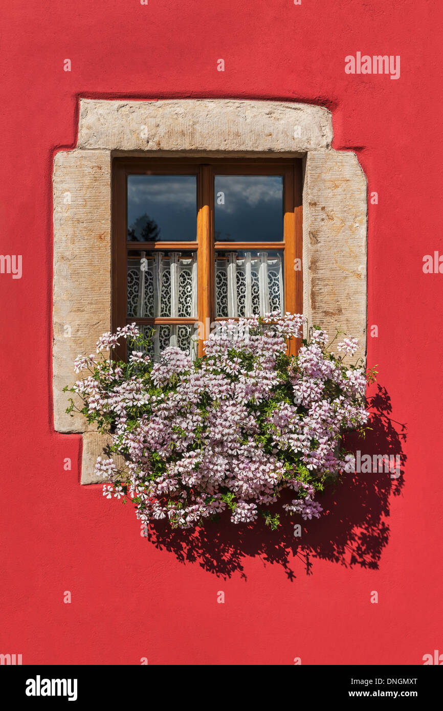 Window with flowers at the adjoining building from the Dreiseithof ...