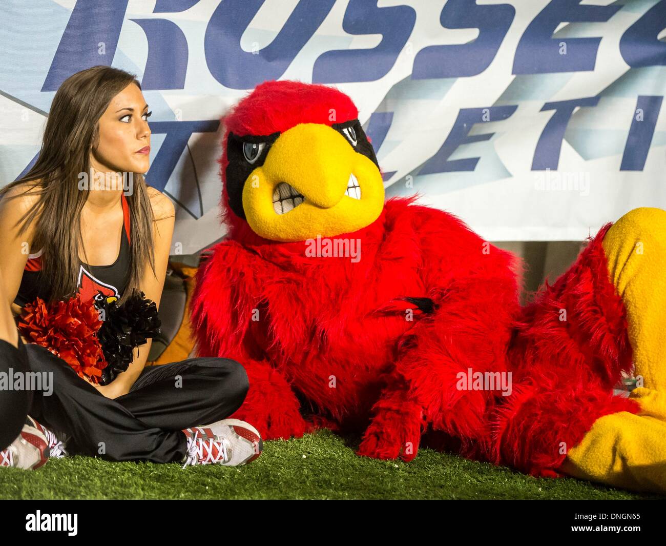 Louisville cardinals mascot hi-res stock photography and images - Alamy