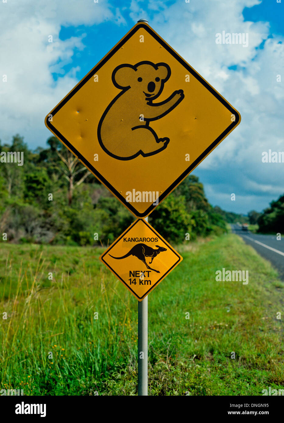 Kangaroo and Koala warning sign by roadside, Australia Stock Photo - Alamy