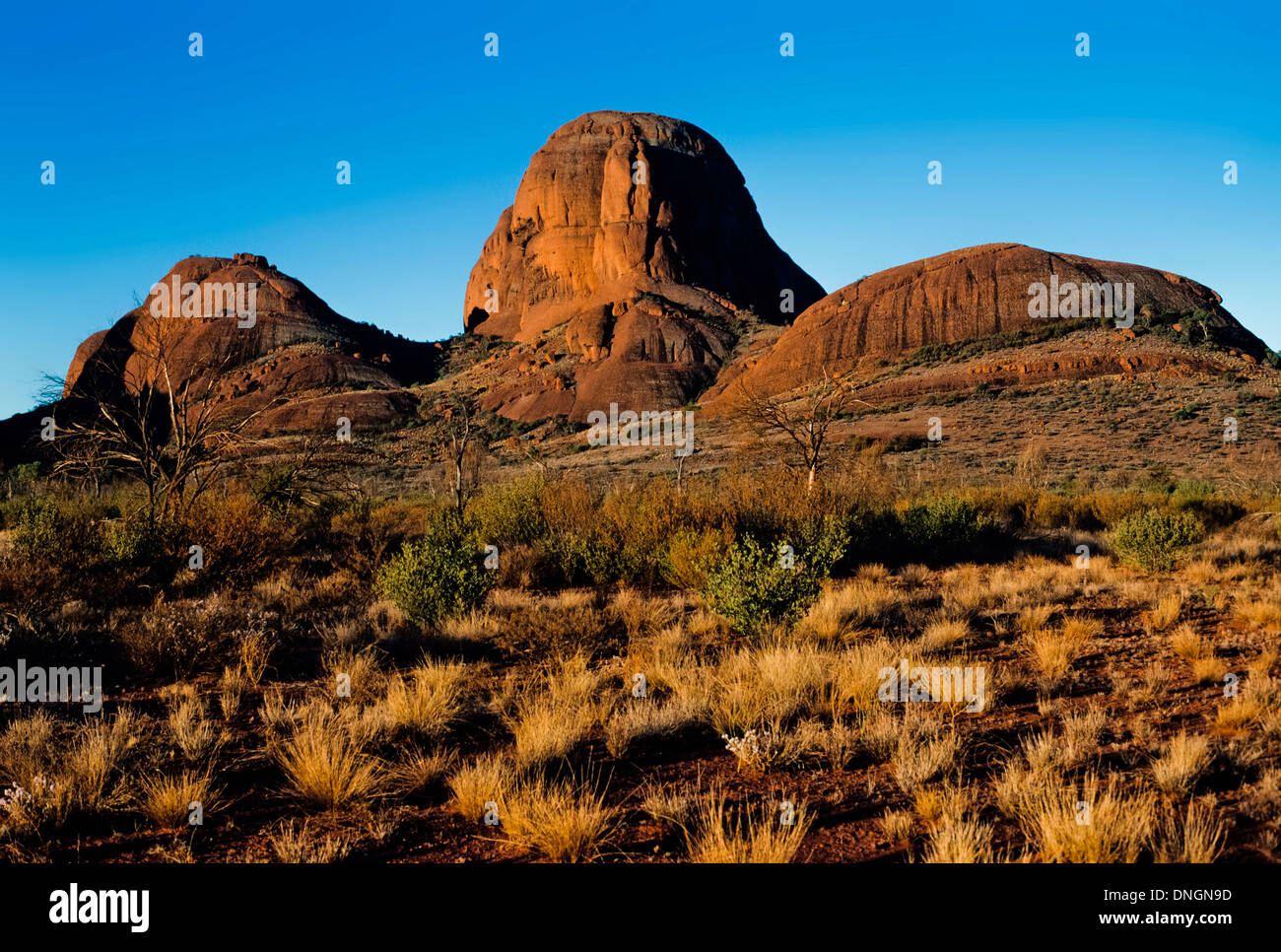The Olgas (Kata Tjuta), The Northern Territory, Australia Stock Photo ...