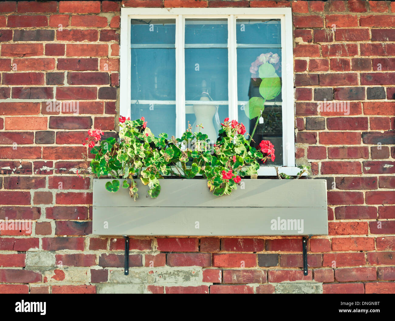 Window garden flower box geraniums hi-res stock photography and images ...