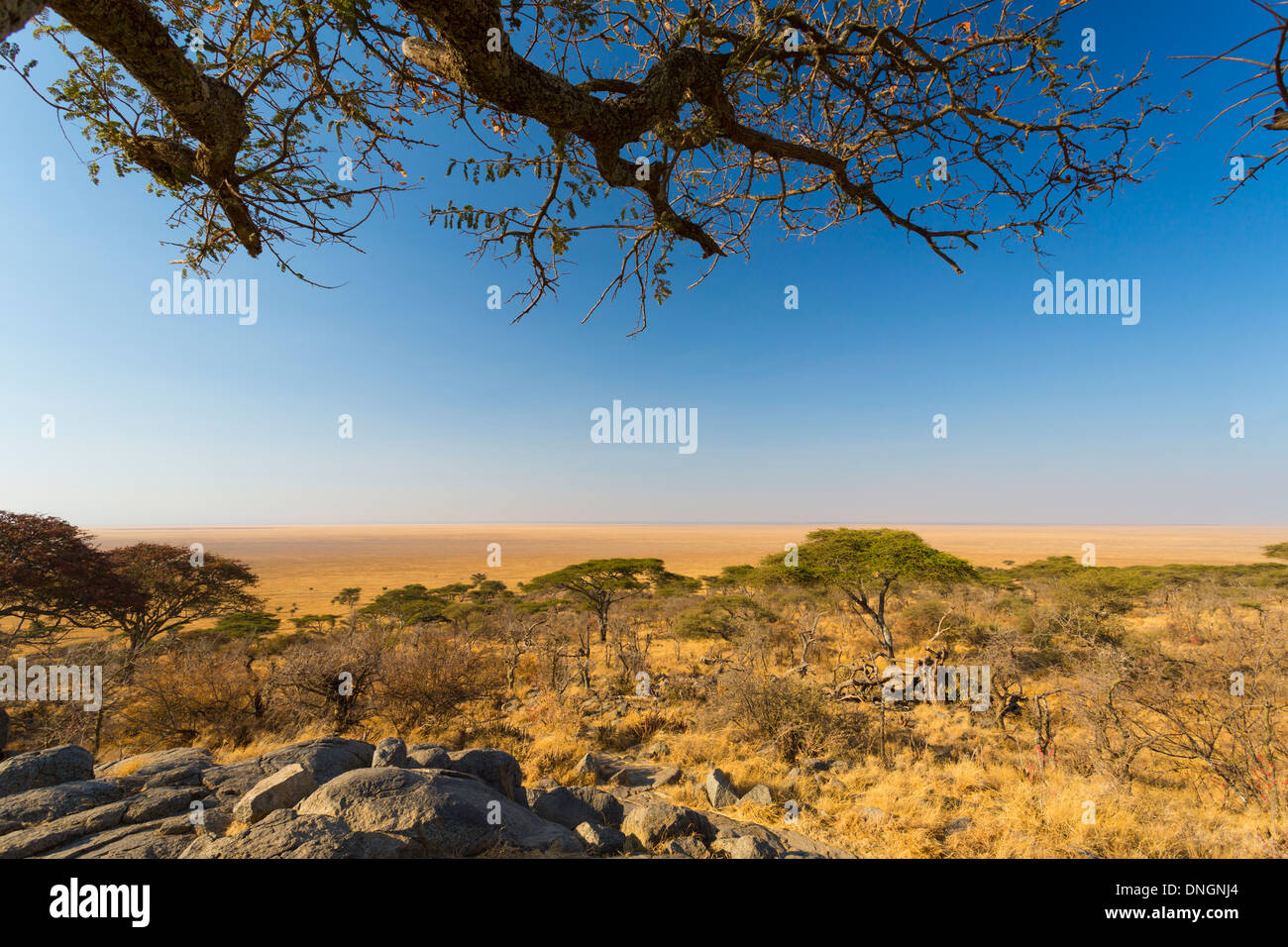 Overlooking Serengeti National Park, Tanzania Stock Photo - Alamy
