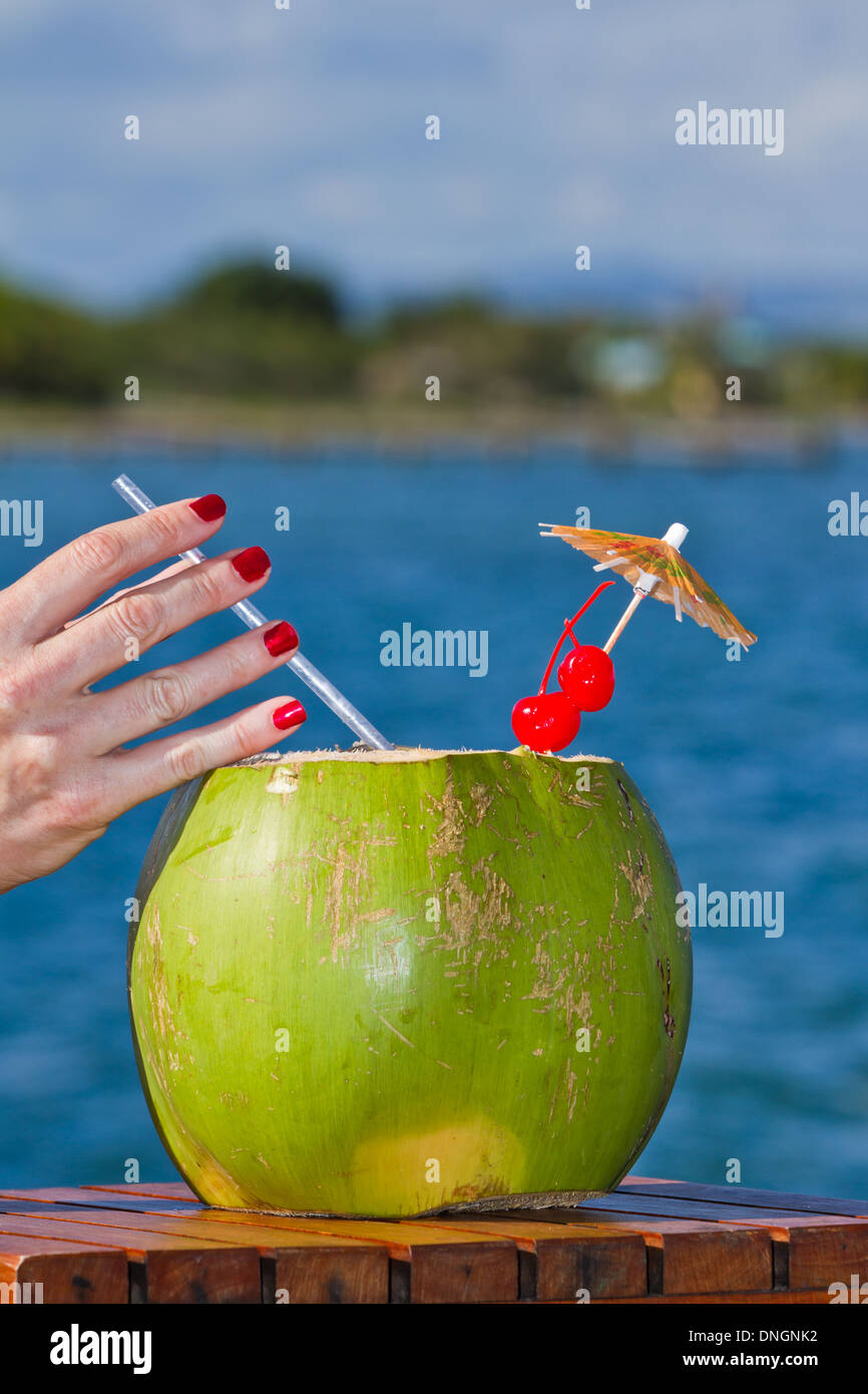 coconut drink served in a green coconut with rum and juices served on ...