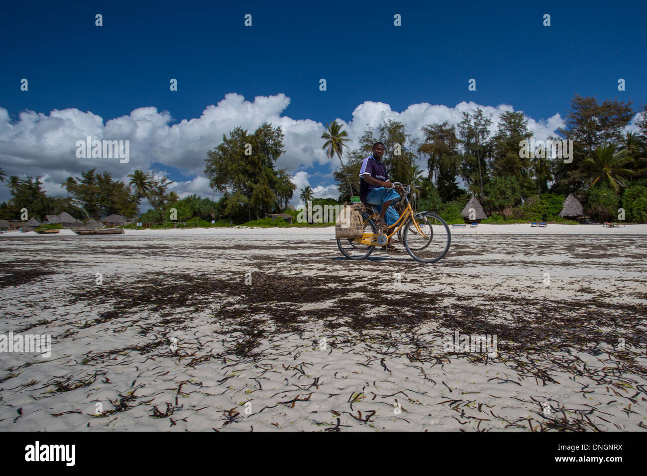 Matemwe Beach, Zanzibar, Tanzania Stock Photo - Alamy