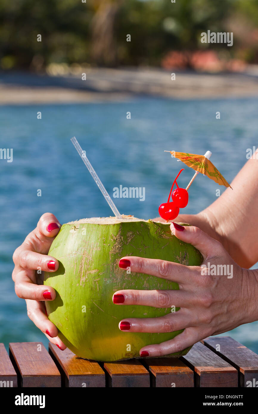 coconut drink served in a green coconut with rum and juices served on ...
