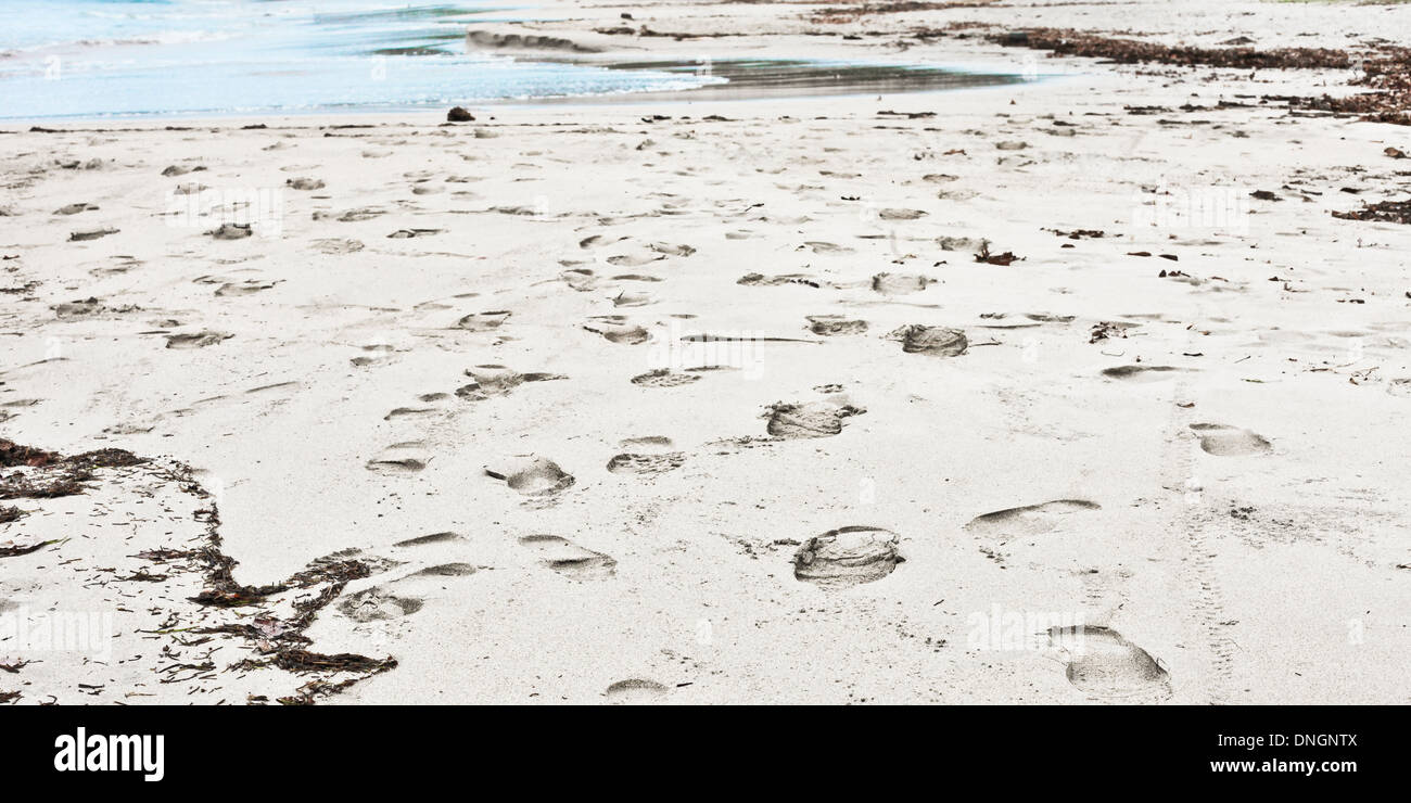 Random walk background hi-res stock photography and images - Alamy